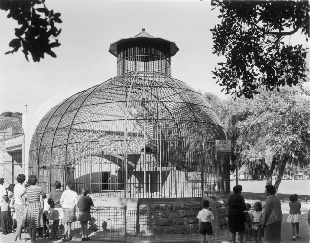 Perth Zoo: Aging with grace – Western Independent